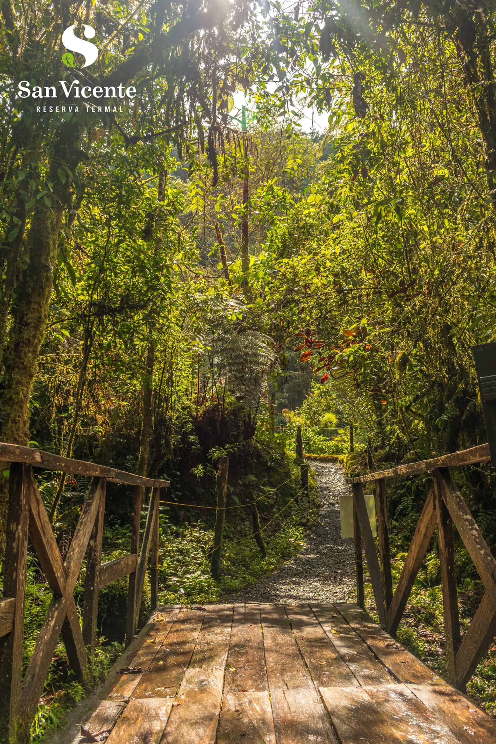 Termales San Vicente – Termales en Santa Rosa